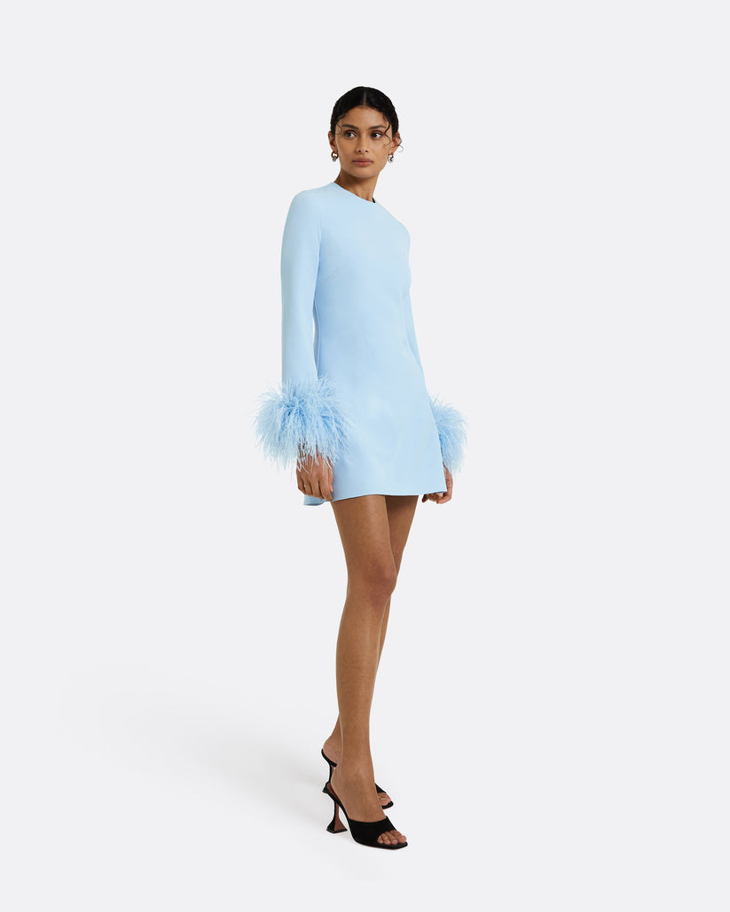 Rena Pale Blue Feather-Trimmed Short Dress – Maison Safiyaa USA